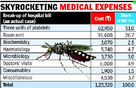 How platelets bleed dengue patients dry | India News - Times of India