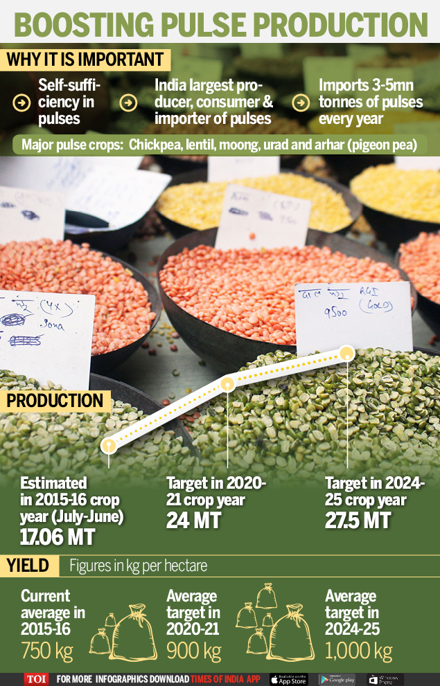Govt’s 5-year roadmap to up production of pulses | India News - Times ...