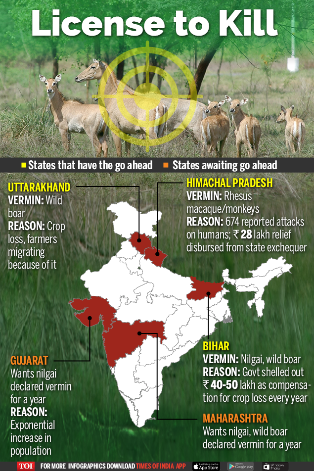 Culling wild animals: States that have the go ahead | India News ...