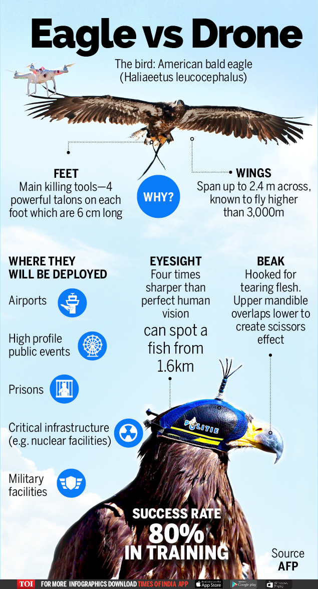 Eagles the new elite police flying squad - Times of India