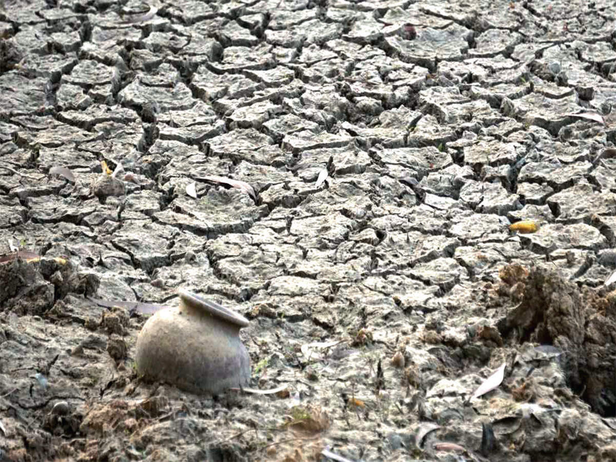 Story behind the photo: Dry day