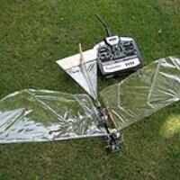 This robot flaps wings, takes off