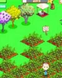 Farm fresh