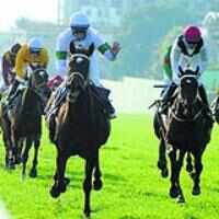 In The Spotlight wins Indian Turf Invitation Cup