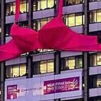 '˜Eccentric' firm buys largest Bra