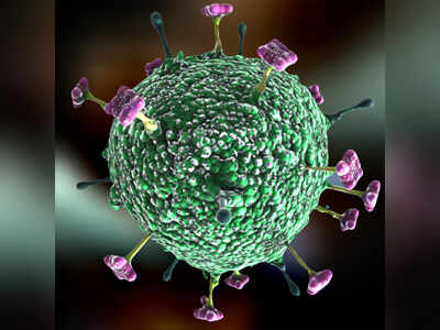 Kerala: Bats not primary source of Nipah, claims report