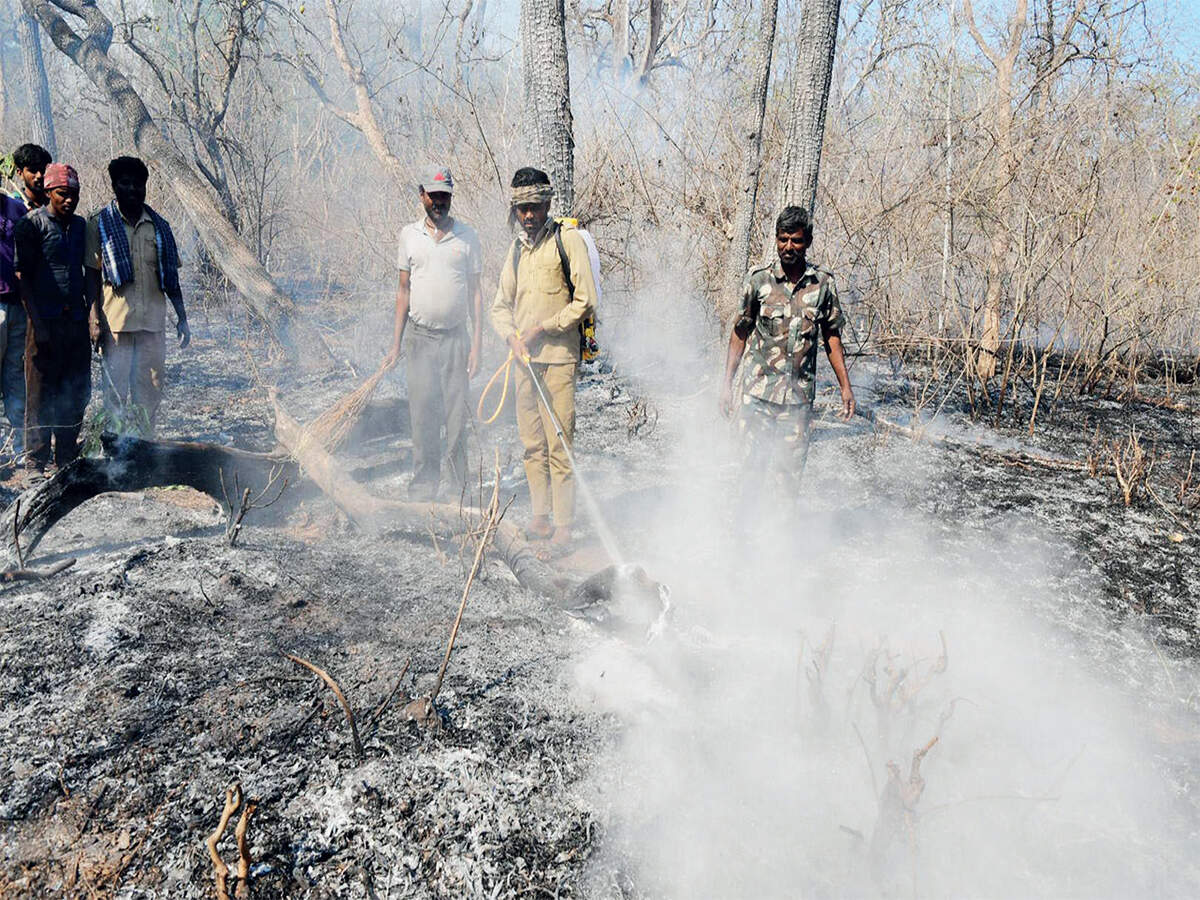 Forest fire: Indian Air Force lends a hand to douse Bandipur fire