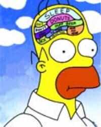 Top 20: Homer humour