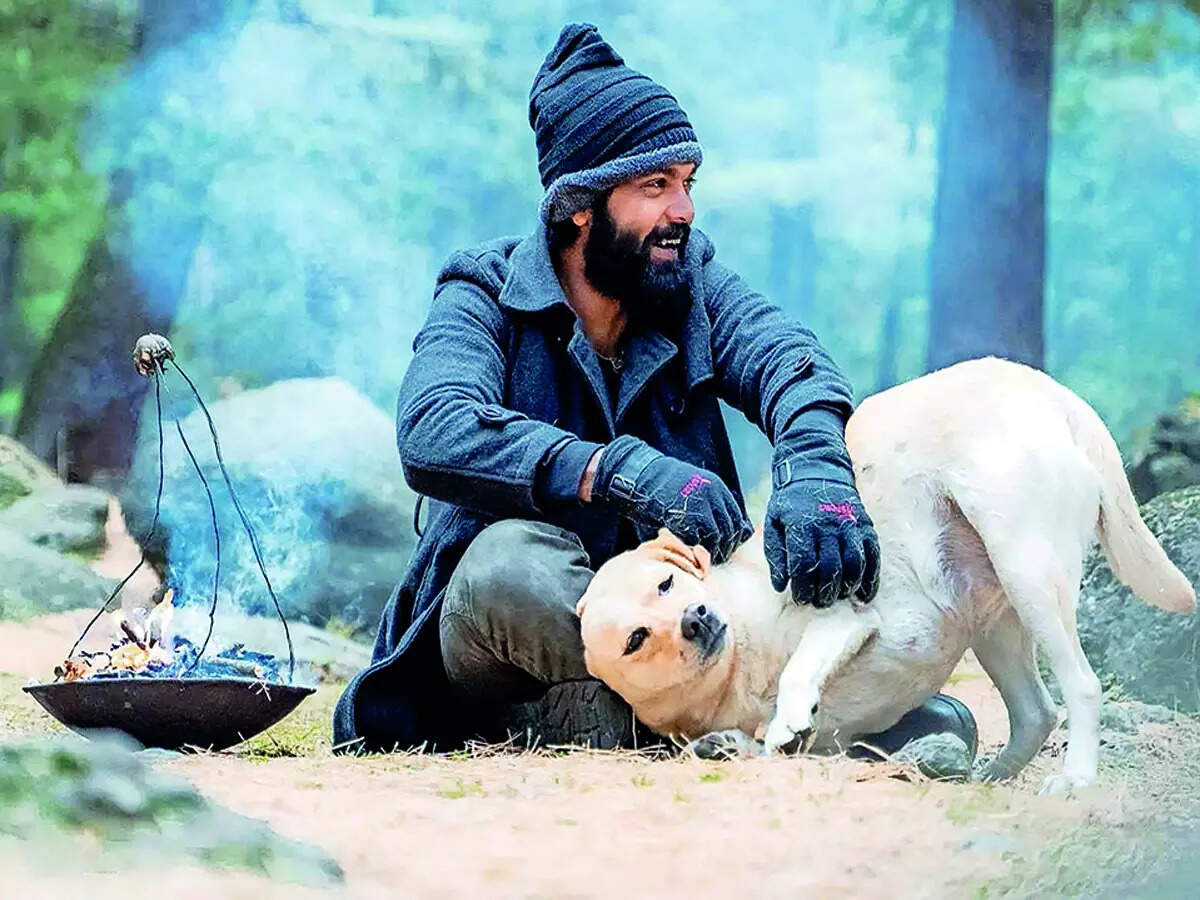 shetty: Charlie 777 is about a love-hate bond between man & dog
