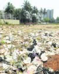 The dynamics of disgust