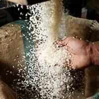 Brace to pay more for rice