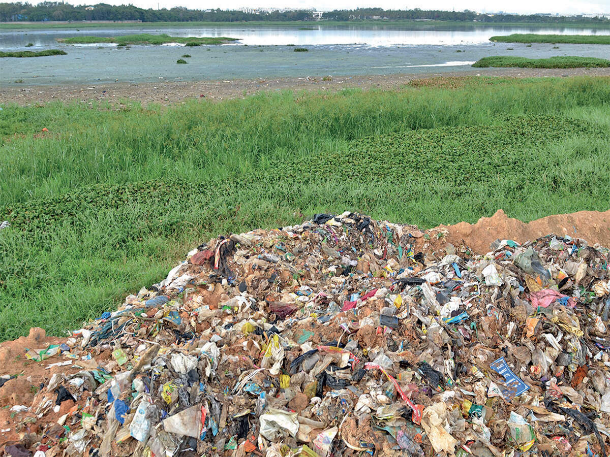 Lake restoration in a shoddy state: Government agencies trash National ...