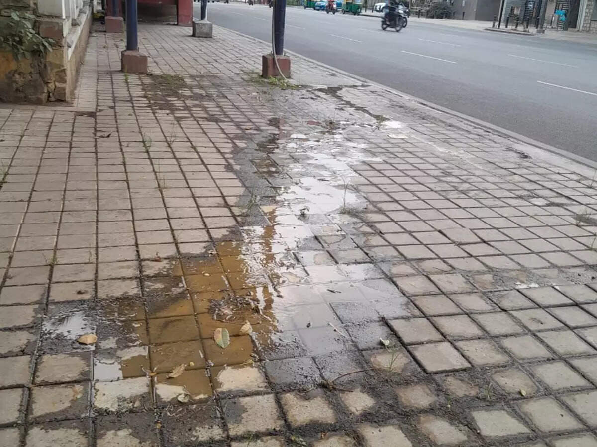 Palace Road: Oozing footpath poses menace