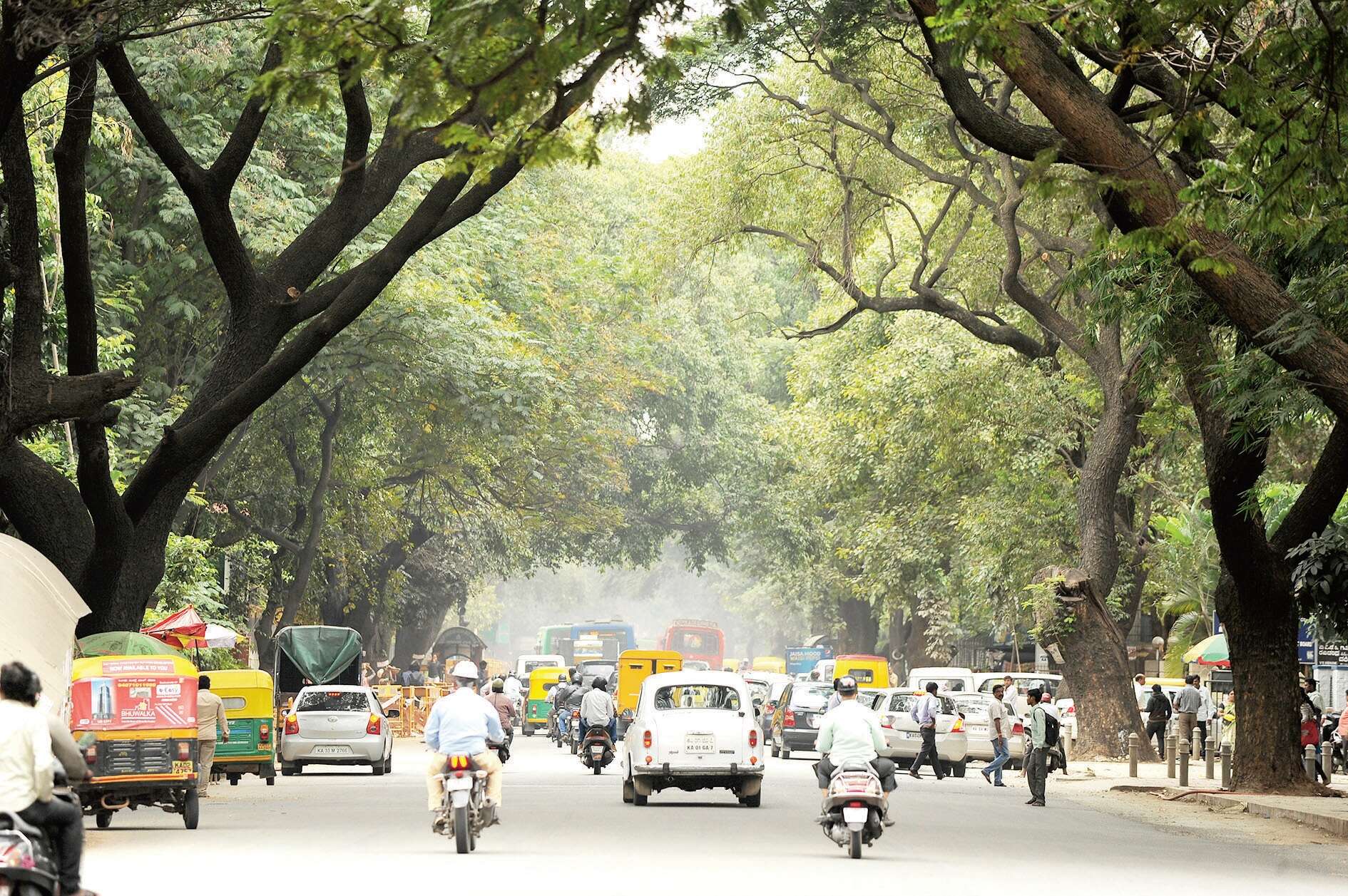 Chipko movement enters city’s Nrupathunga Road