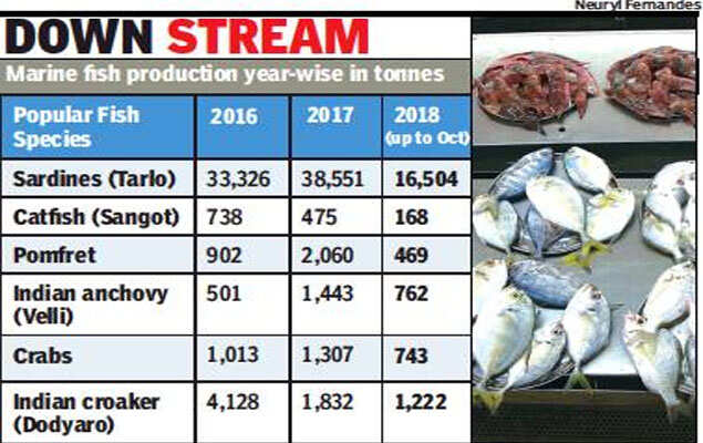 Goa's fish production down sharply | Goa News - Times of India