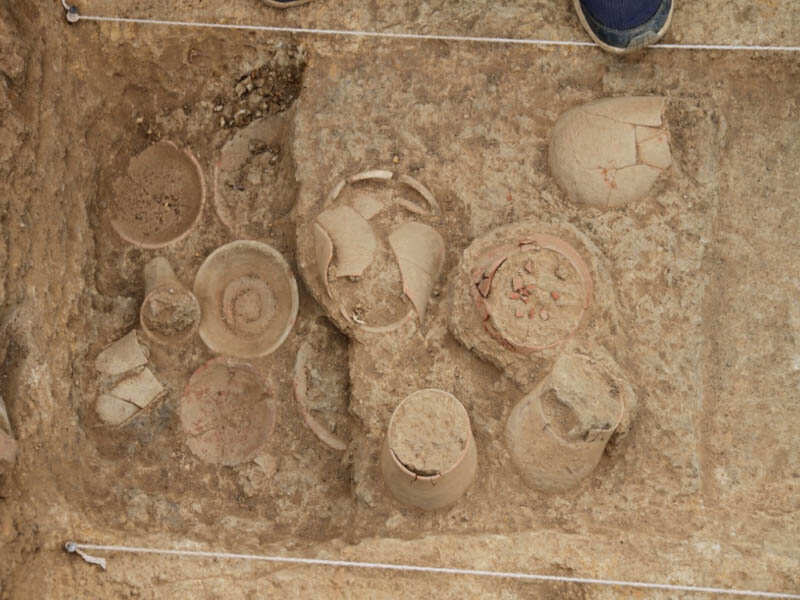 5,000-year-old human skeleton found in Kutch | Rajkot News - Times of India