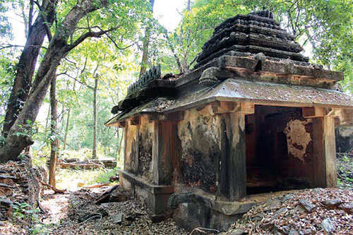 TripTease: Pepper Queen Fort