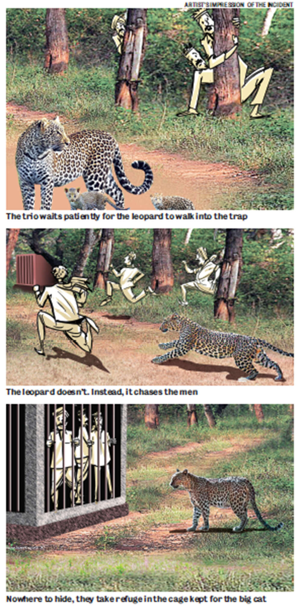 Leopard chases trio into cage kept for it