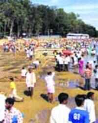 Sand Sand Everywhere