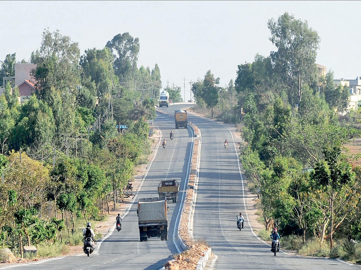 Minor tweak can save 100 heritage trees