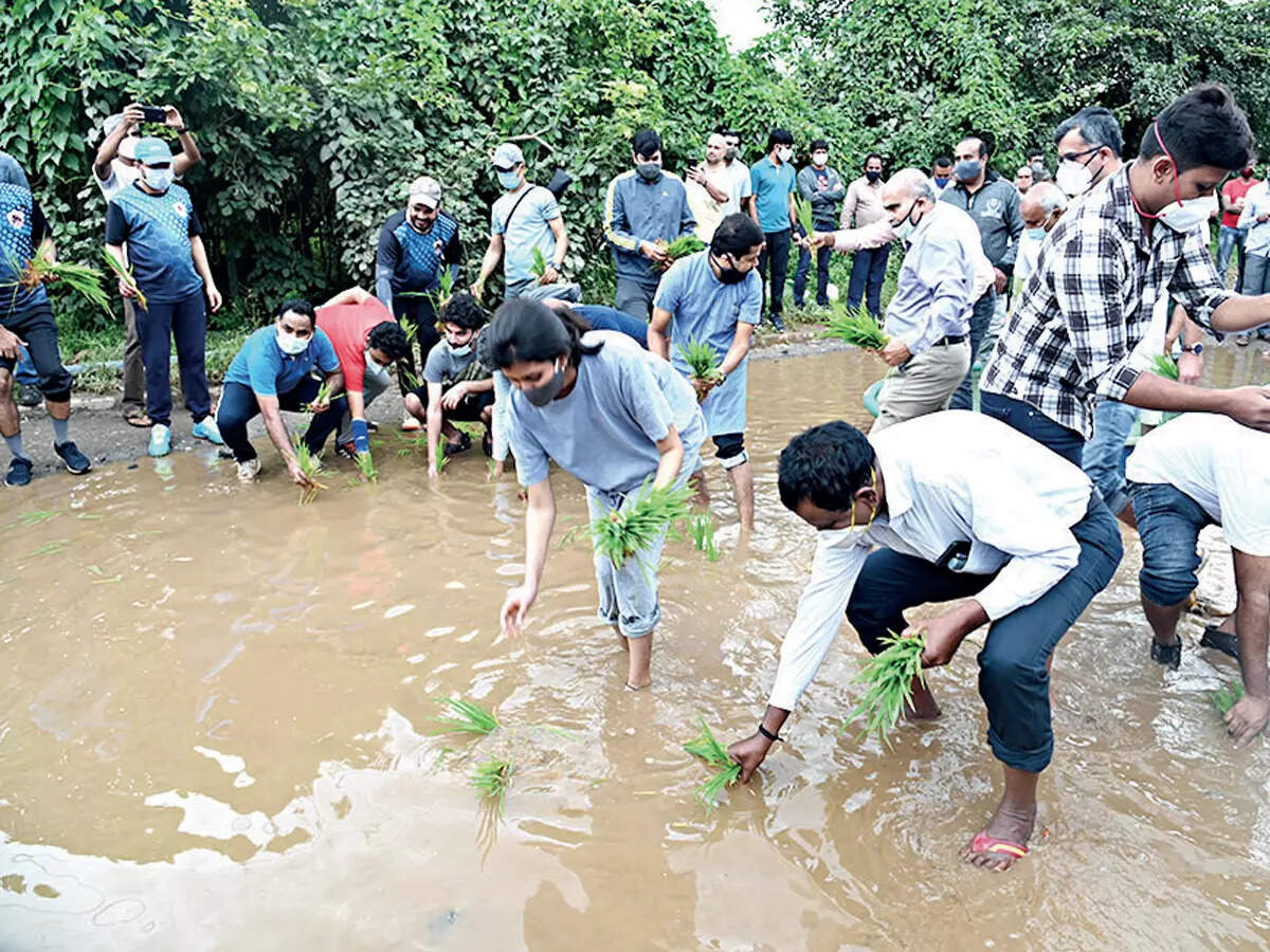 Roads to perdition: Puddle muddle