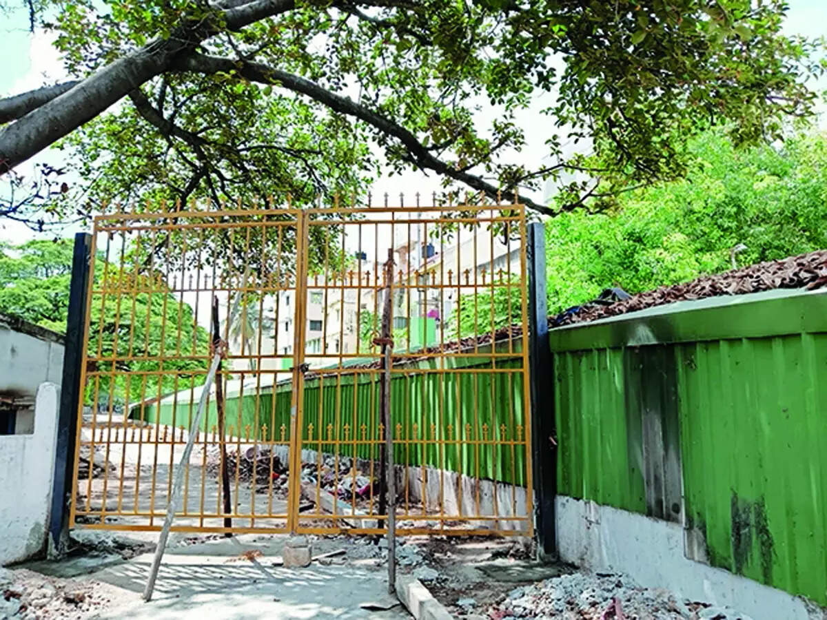 The Towns Mirror Special: Palike finally gates it