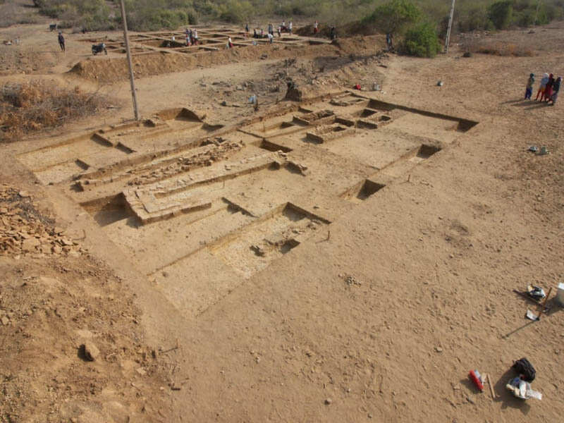 5,000-year-old human skeleton found in Kutch | Rajkot News - Times of India