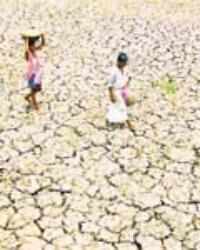 Defeating drought