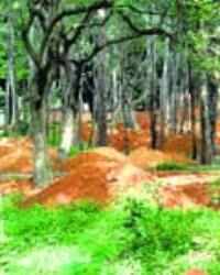 Raj era relic poses a problem