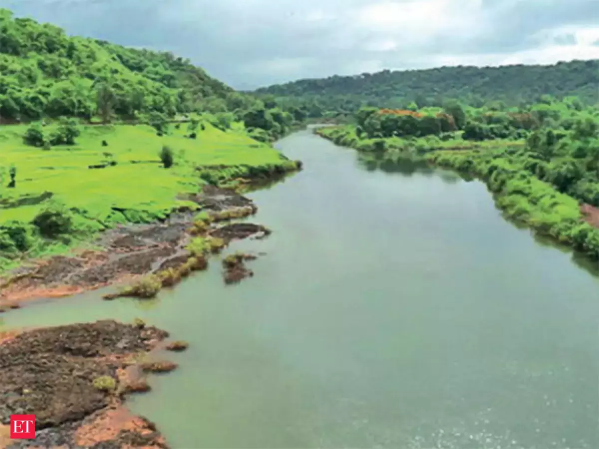 Mahadayi project: Goa gov keeps away from issue