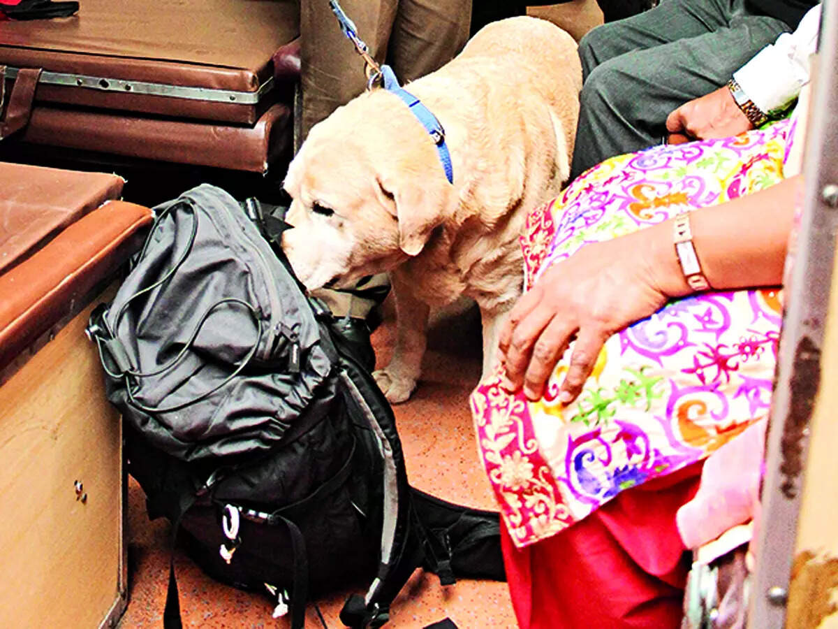 Train tactics: The drug squad is right on track!