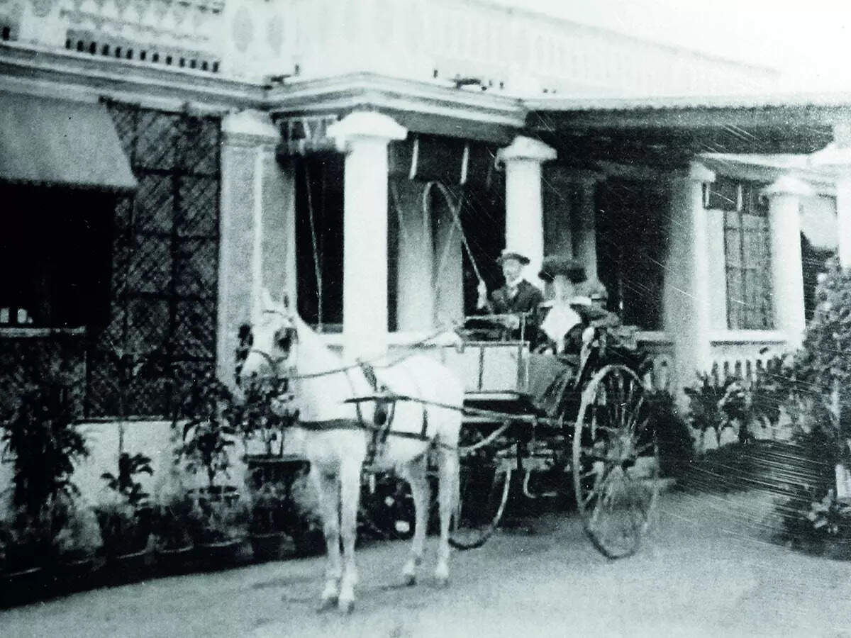 promenade: The Towns Mirror Special: Community Corner: An ode to ...