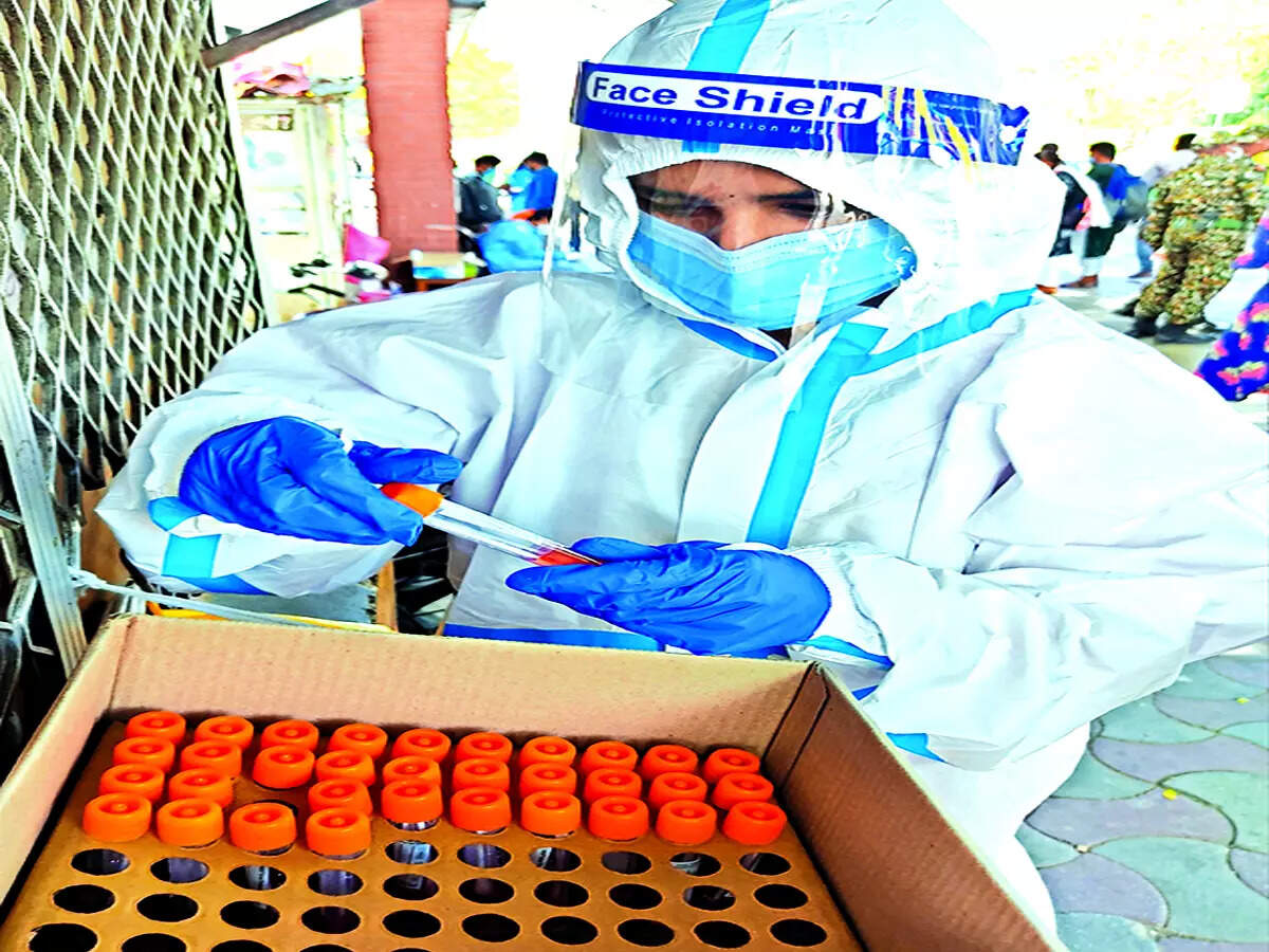 xbb: XBB variant: All that you need to know