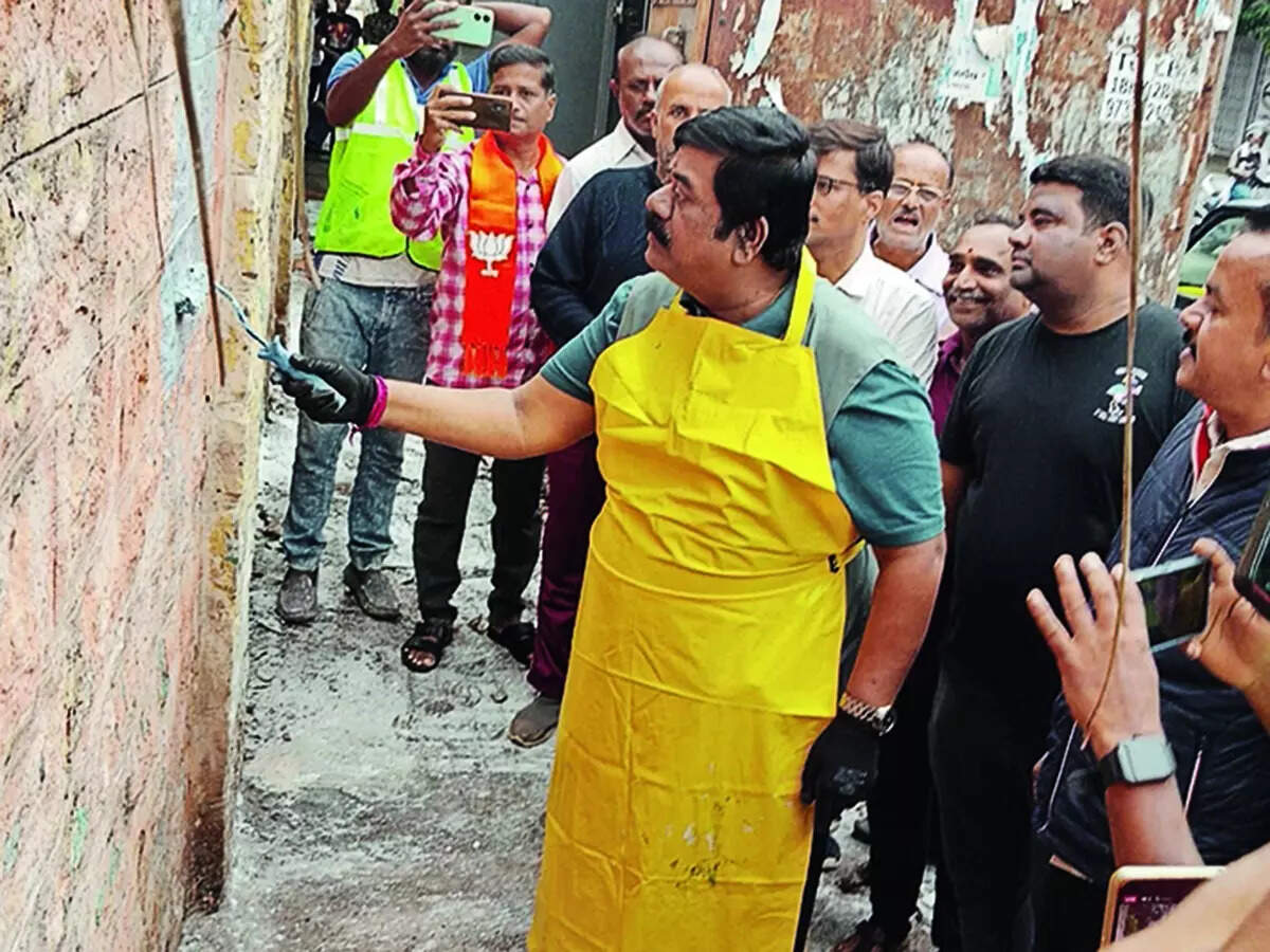 CV Raman Nagar beautification project