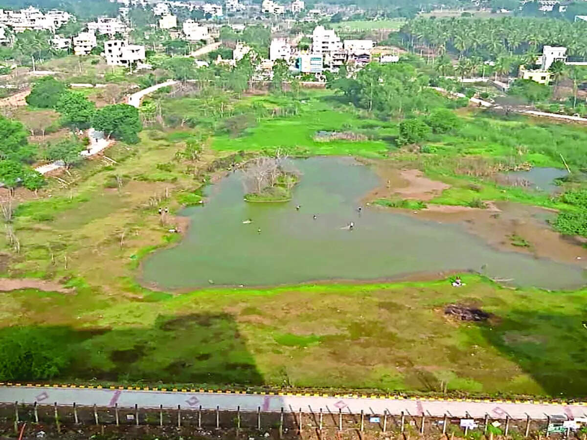 avalahalli lake: Shady happenings at Avalahalli Lake