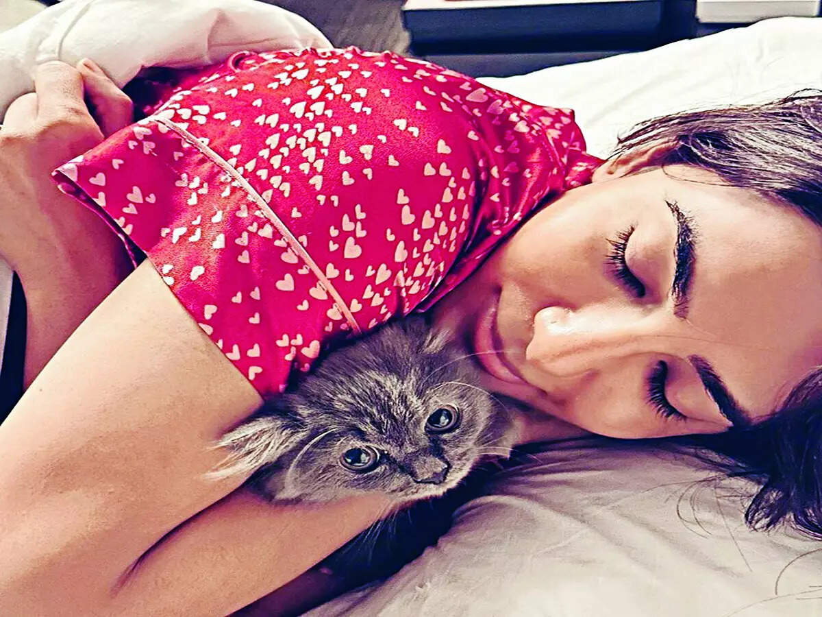 Meet Sam’s new pet