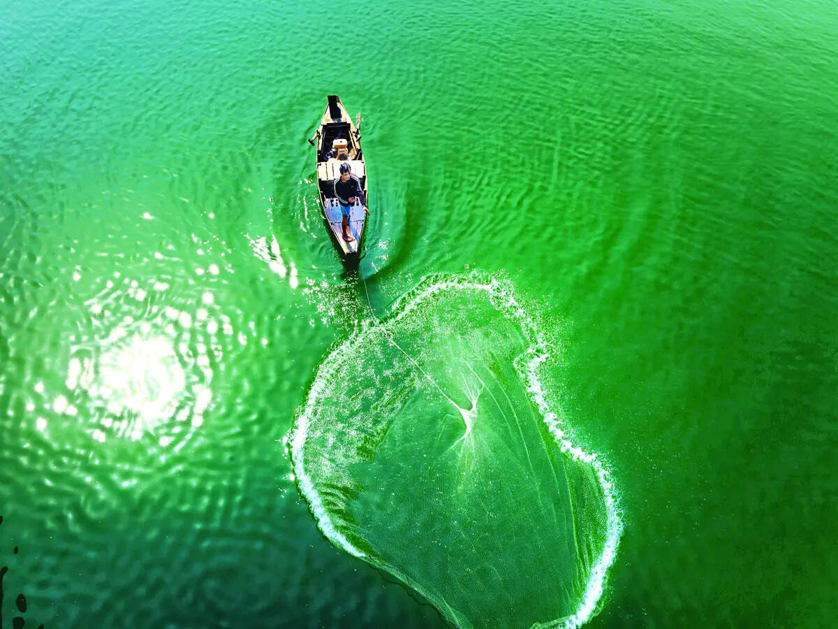 ‘Stop fishing in troubled waters’