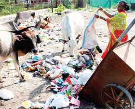 An issue that can’t be rubbished