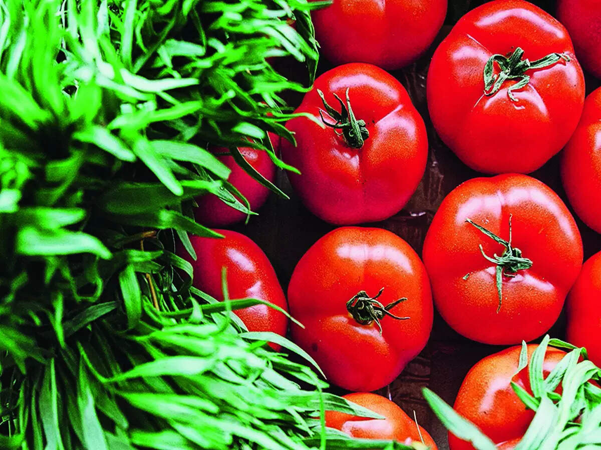 Alert: Tomato thief on the loose!