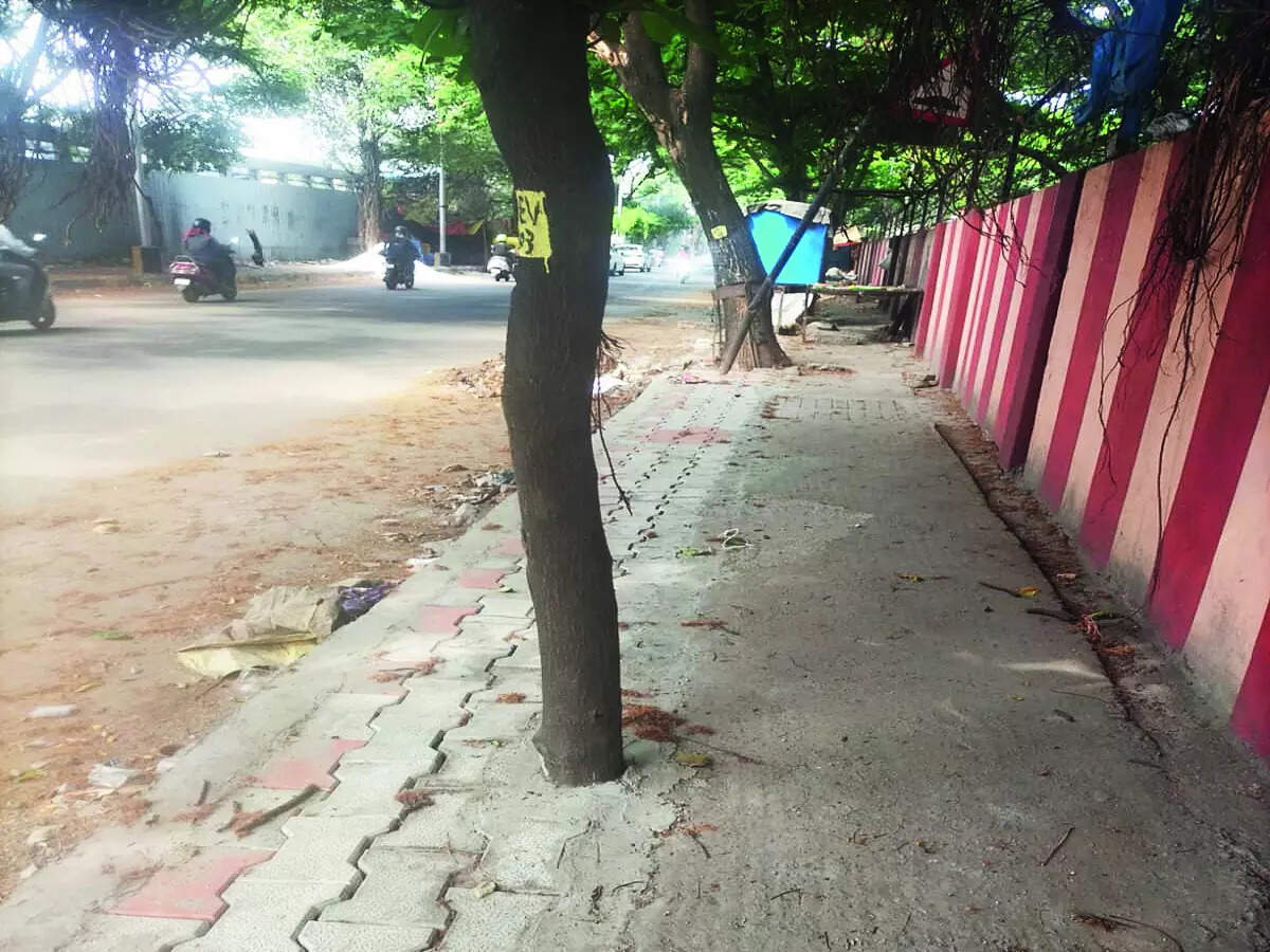 They paved paradise...