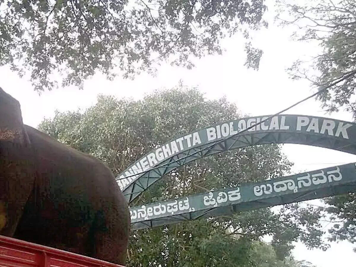 bbp: Rs 30 extra for wild entry