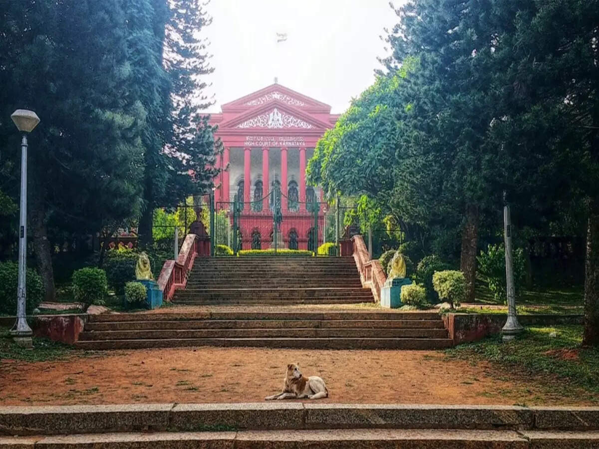 Cubbon Park Metro hosts Living Libraries’ Open Studio