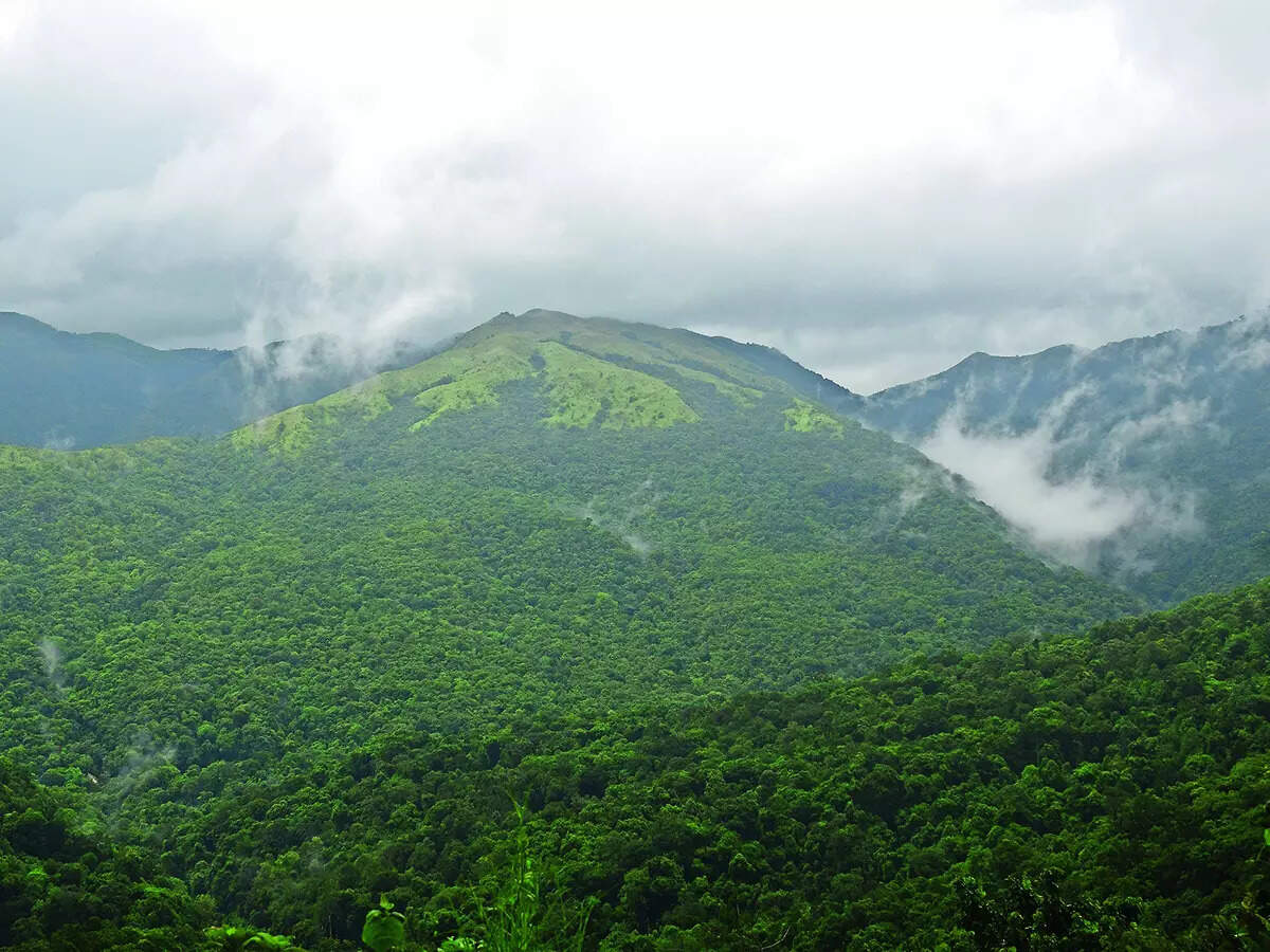 Karnataka Forest Department's Slow Eviction Progress: Only 13% of ...