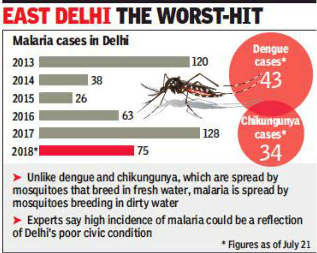 Malaria cases outpace dengue this season | Delhi News - Times of India