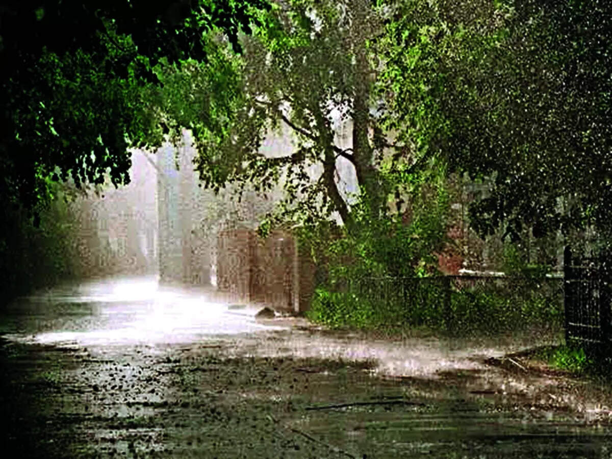 Favorite Rainy Day Activities