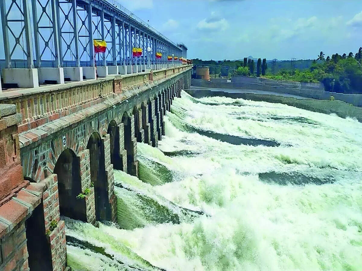 Summer is upon us: Karnataka reservoir levels drop to 55% ahead of summer