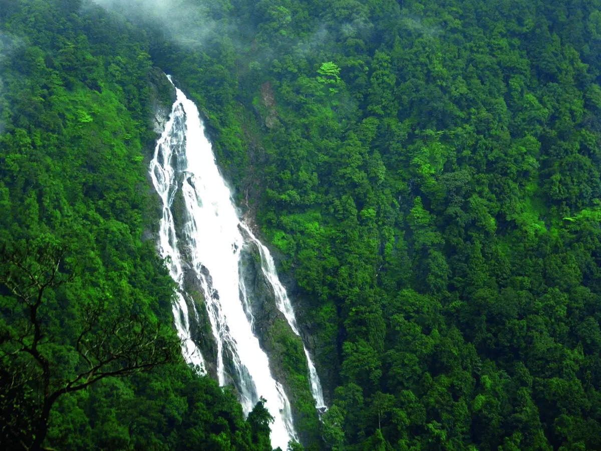 Sharavathi project: A dream or nightmare?