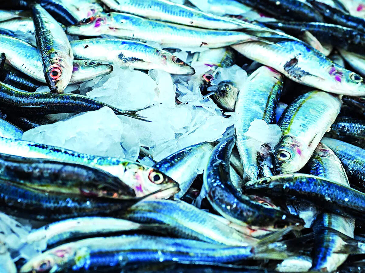 There’s nothing fishy about this