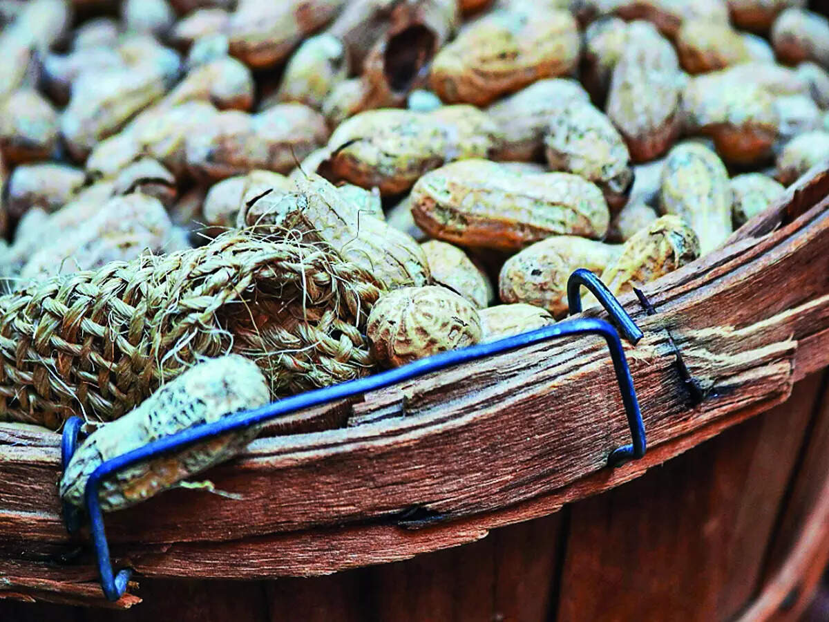 Kadlekai Parishe extended to five days for the first time