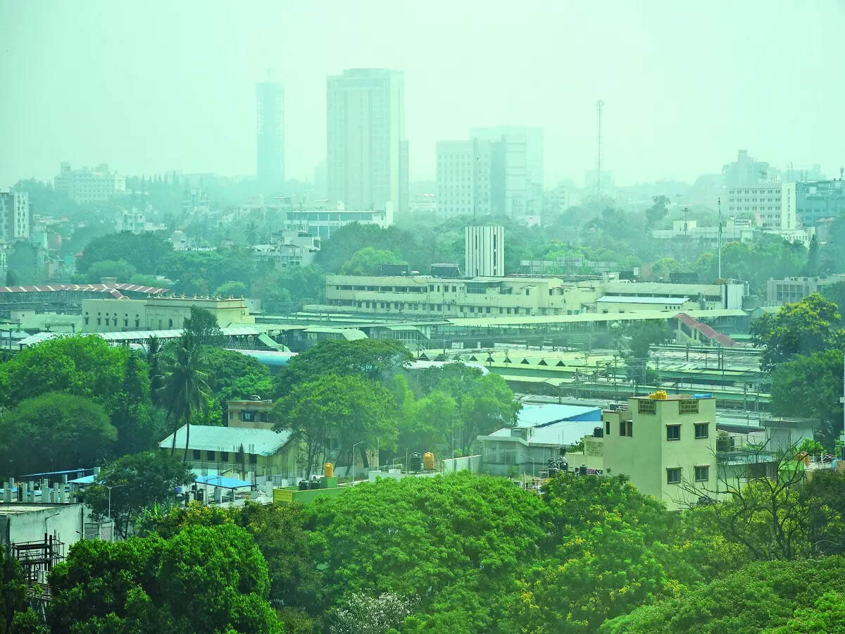 You are here: SMOG station